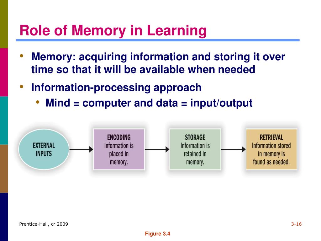 PPT - Chapter 3 Learning and Memory PowerPoint Presentation, free ... PPT - Chapter 3 Learning and Memory PowerPoint Presentation, free ...