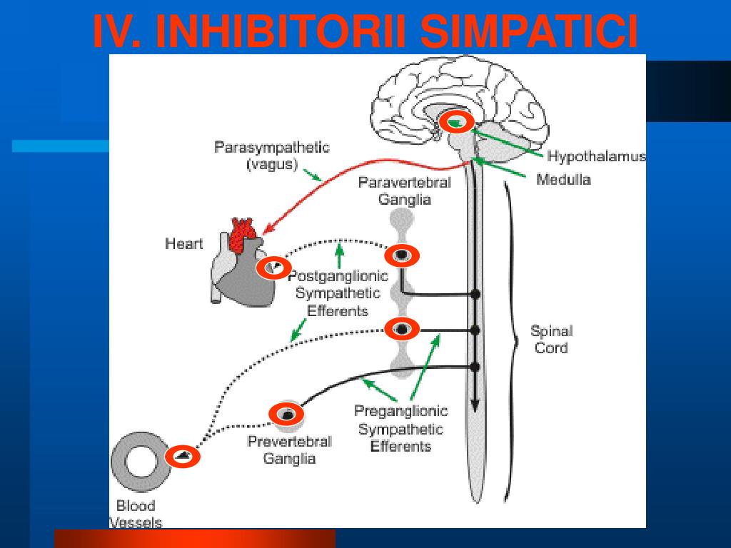PPT - MEDICATIA ANTIHIPERTENSIVA PowerPoint Presentation, free download ...