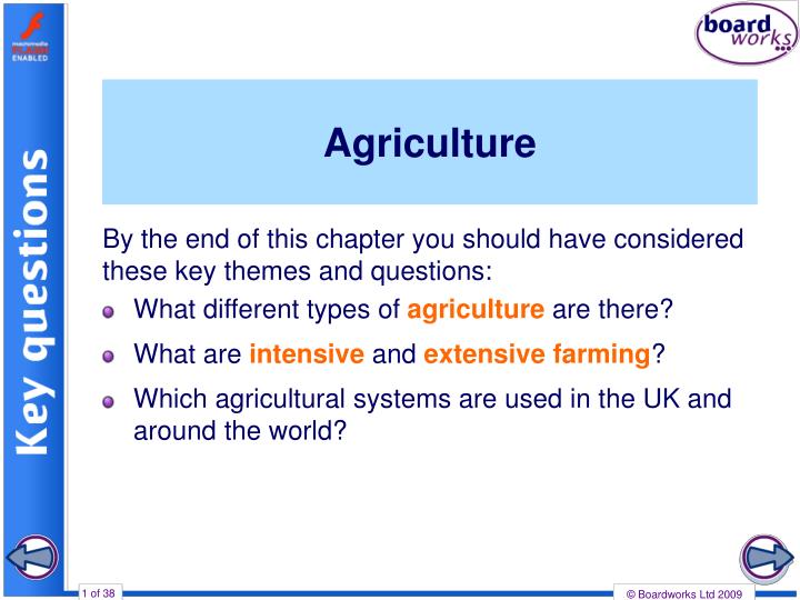 PPT - Key questions: Agriculture PowerPoint Presentation, free download ...