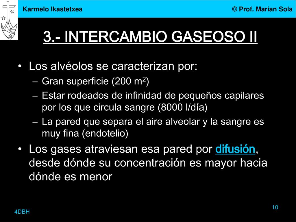 PPT - SISTEMA RESPIRATORIO (aporte de O 2 para nutrición) TEMA 5 ...
