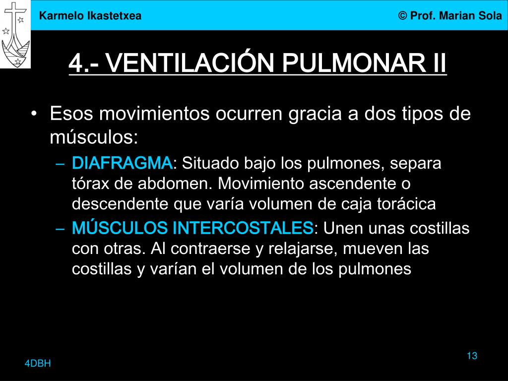 PPT - SISTEMA RESPIRATORIO (aporte de O 2 para nutrición) TEMA 5 ...