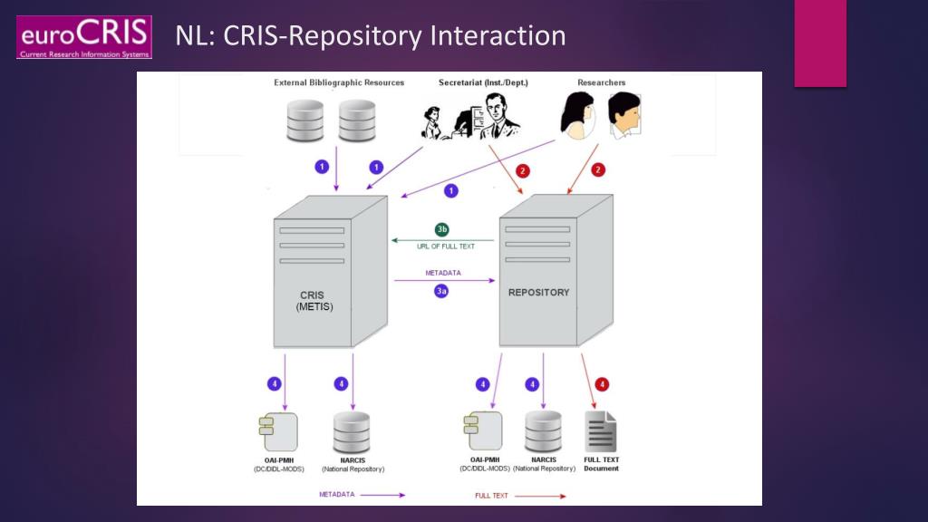 PPT - Structure of the Presentation PowerPoint Presentation, free ...