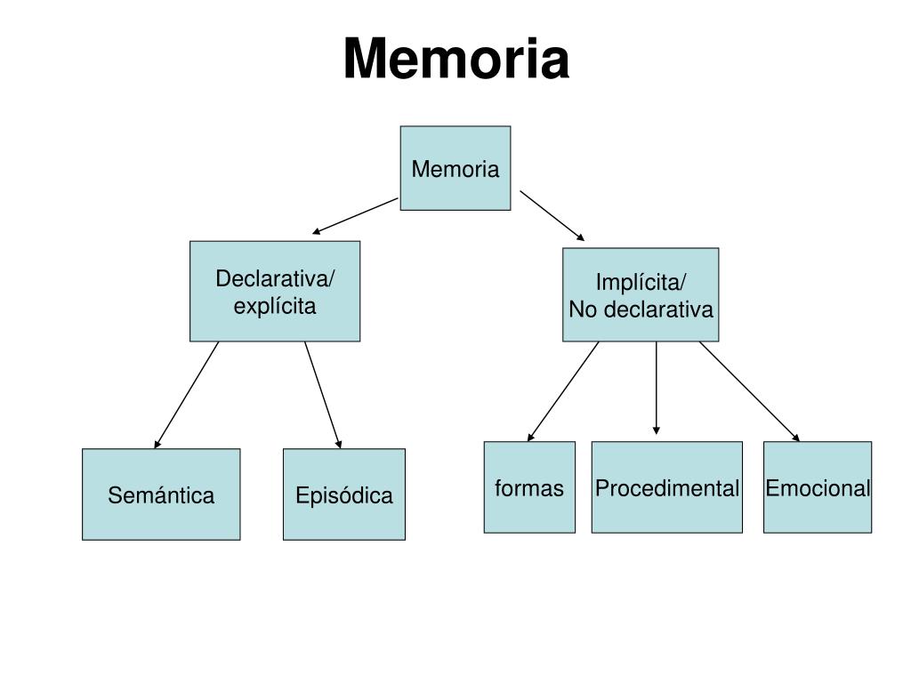 PPT - Trabajo somatosensorial y sensaciones sin narración PowerPoint ...