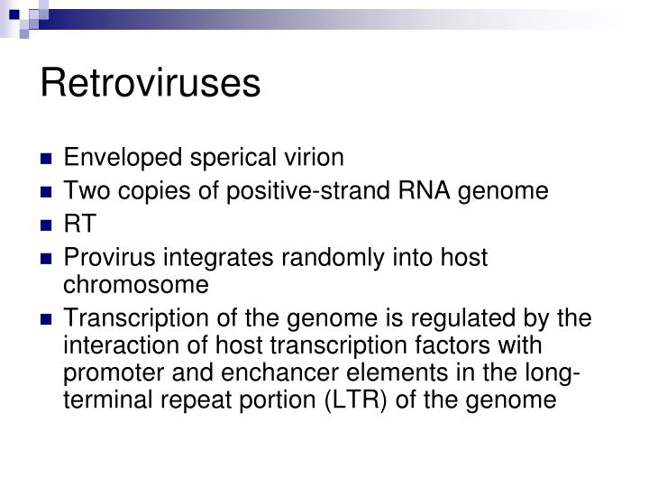 PPT - Retroviruses PowerPoint Presentation - ID:3514051