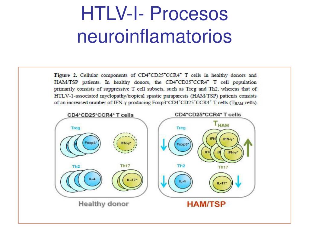 PPT - Retrovirus I Oncovirinae. HTLV-I y HTLV-II Tema 26 PowerPoint ...