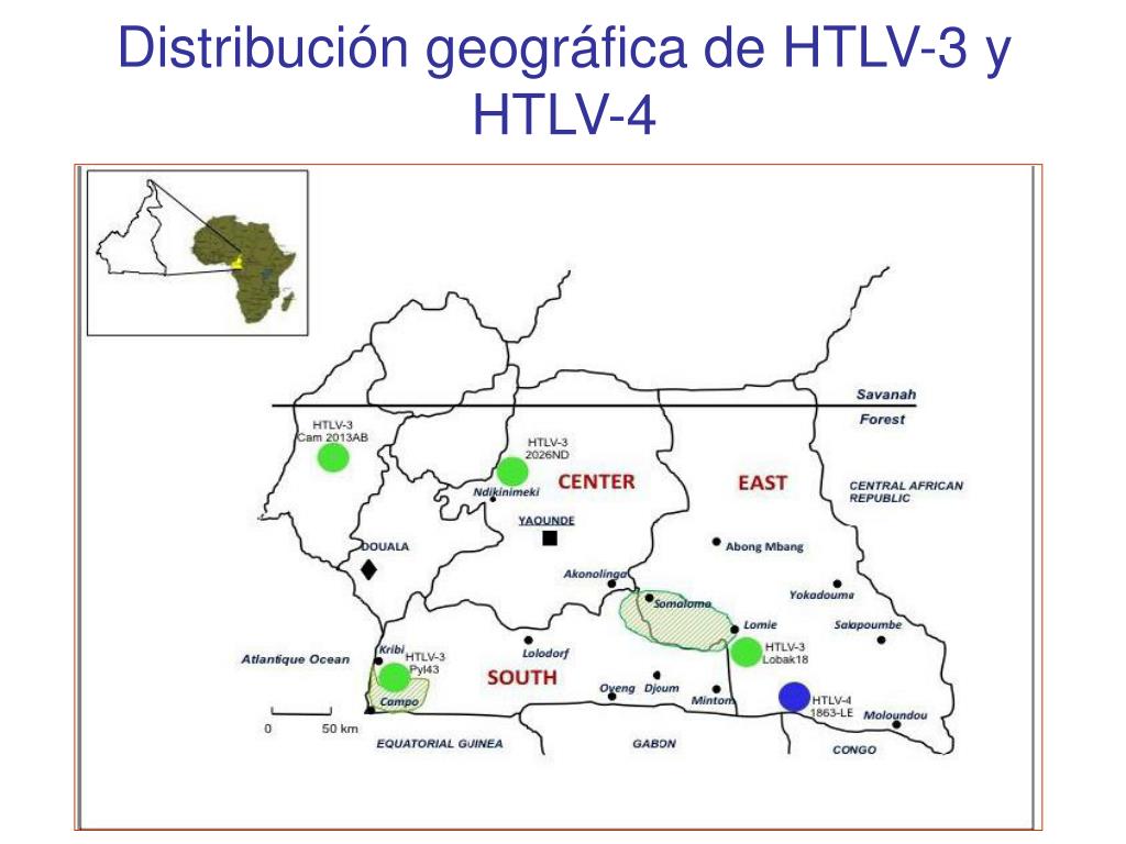 PPT - Retrovirus I Oncovirinae. HTLV-I y HTLV-II Tema 26 PowerPoint ...