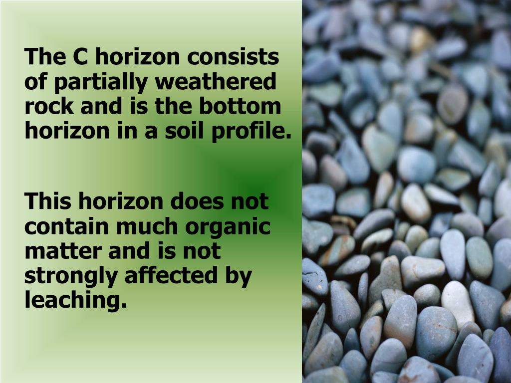 PPT - Do now PowerPoint Presentation, free download - ID:3514748