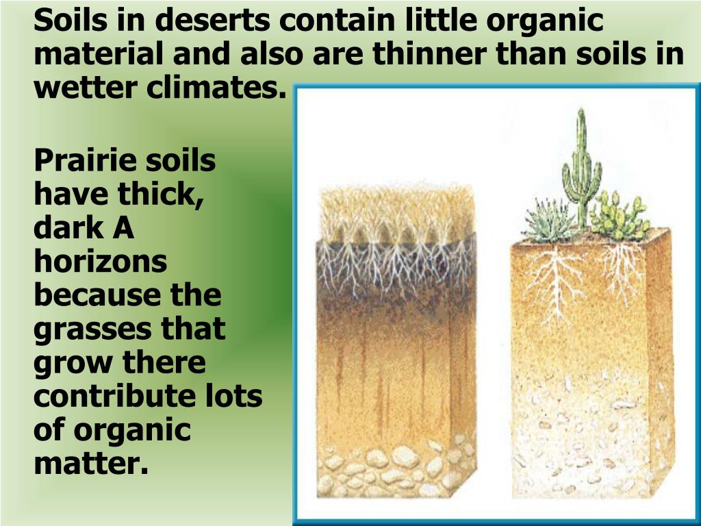 PPT - Do now PowerPoint Presentation, free download - ID:3514748