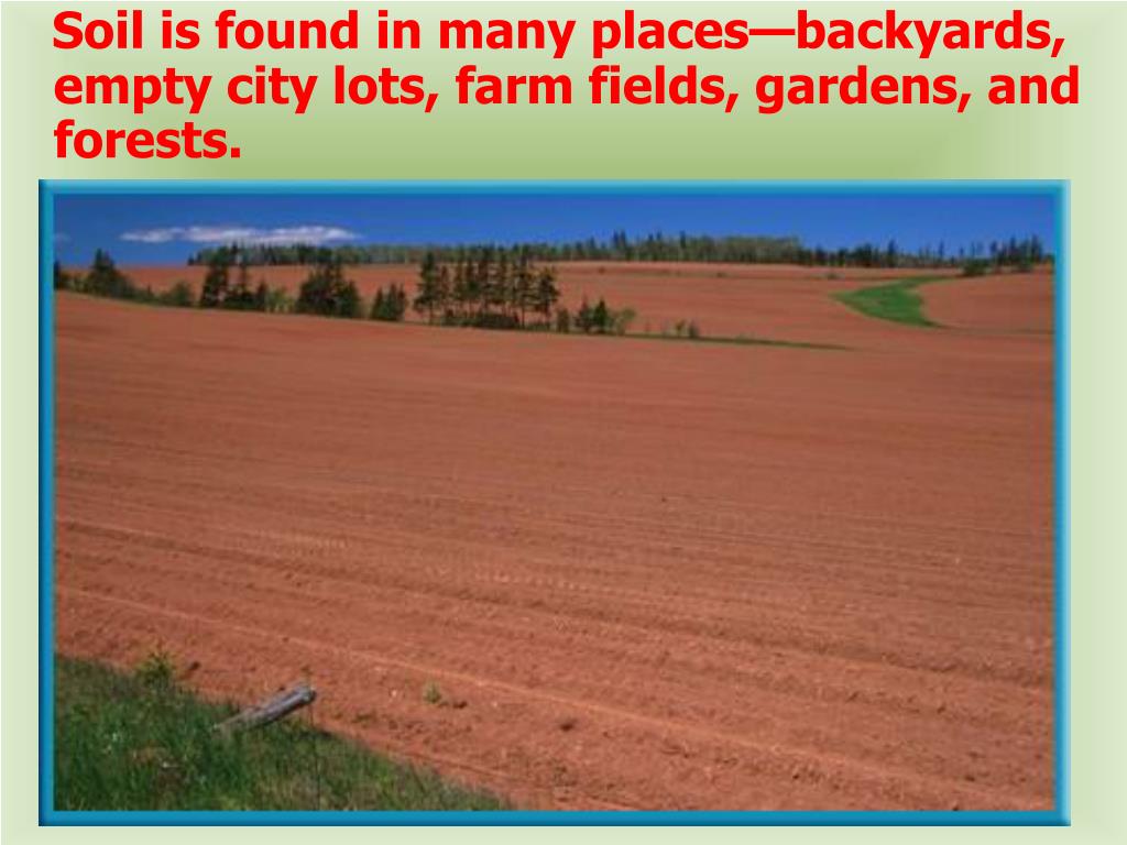 PPT - Do now PowerPoint Presentation, free download - ID:3514748