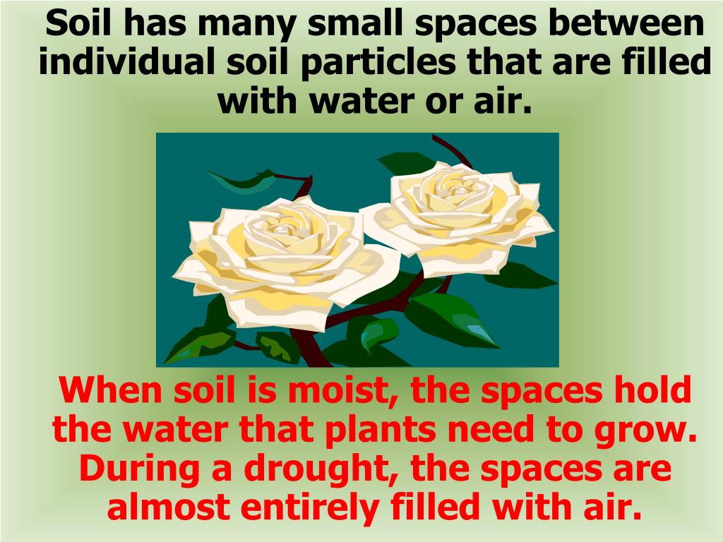 PPT - Do now PowerPoint Presentation, free download - ID:3514748