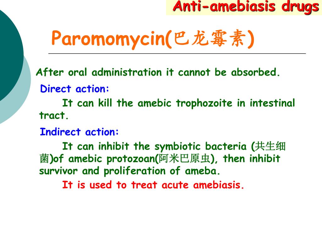 PPT - Anti-amebiasis and anti-trichomoniasis drugs ( 抗阿米巴病和抗滴虫病药 ...