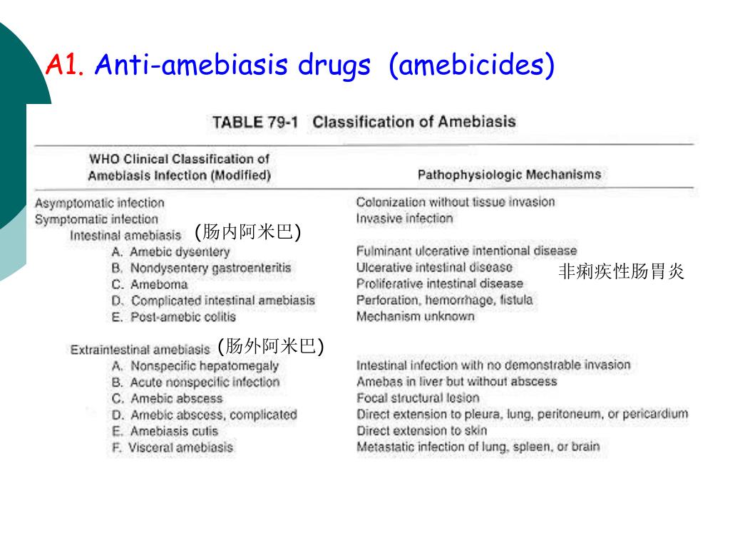 PPT - Anti-amebiasis and anti-trichomoniasis drugs ( 抗阿米巴病和抗滴虫病药 ...