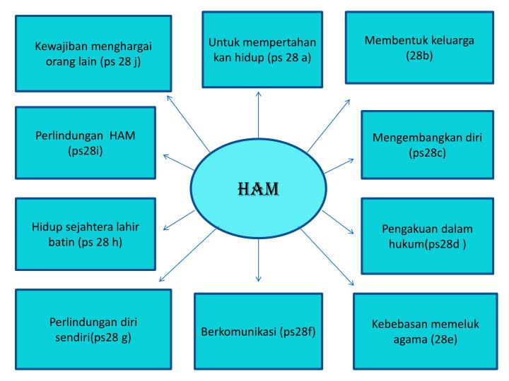 PPT - HAM PowerPoint Presentation, free download - ID:3515110