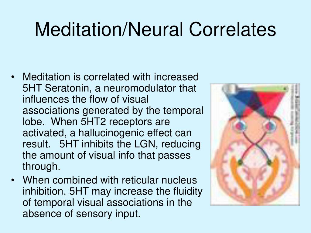 PPT - HALLUCINATIONS NATURAL VS. DRUG-INDUCED PowerPoint Presentation ...