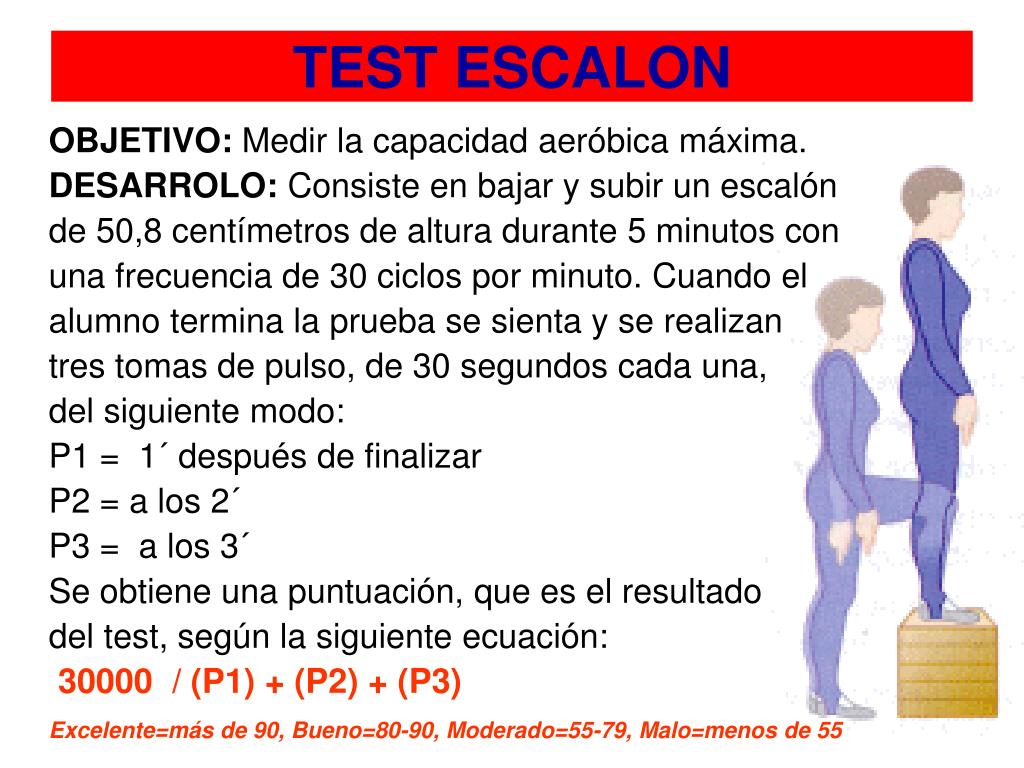 PPT - UD: PARA CONOCERNOS MEJOR PRUEBAS DE CONDICION FISICA 1º ...