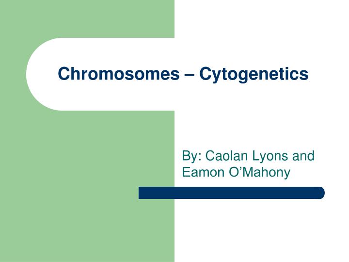 PPT - Chromosomes – Cytogenetics PowerPoint Presentation, free download ...