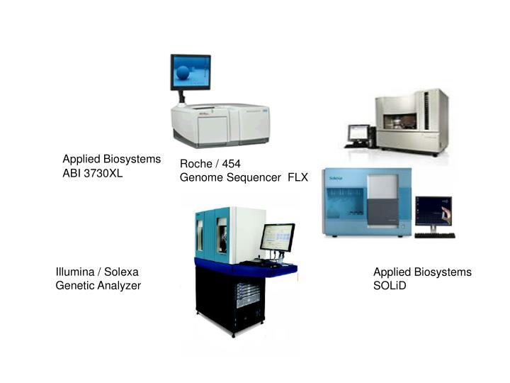 PPT - Illumina / Solexa Genetic Analyzer PowerPoint Presentation, free ...