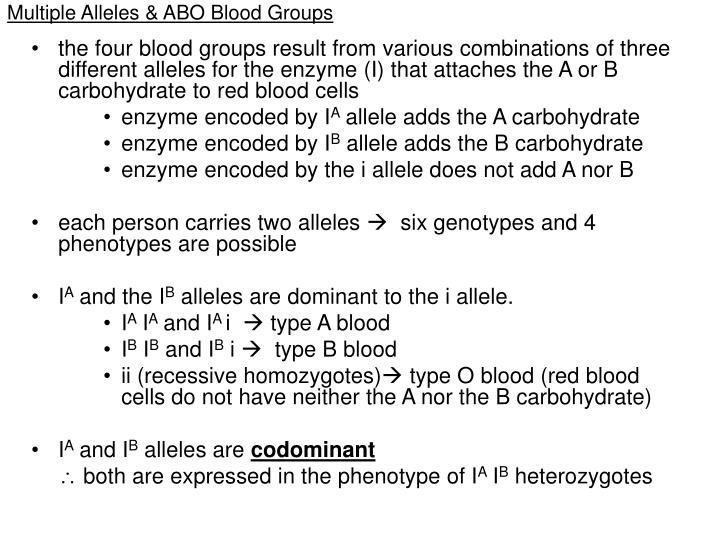 PPT - HL IB Biology Genetics – Part1 PowerPoint Presentation - ID:3517500
