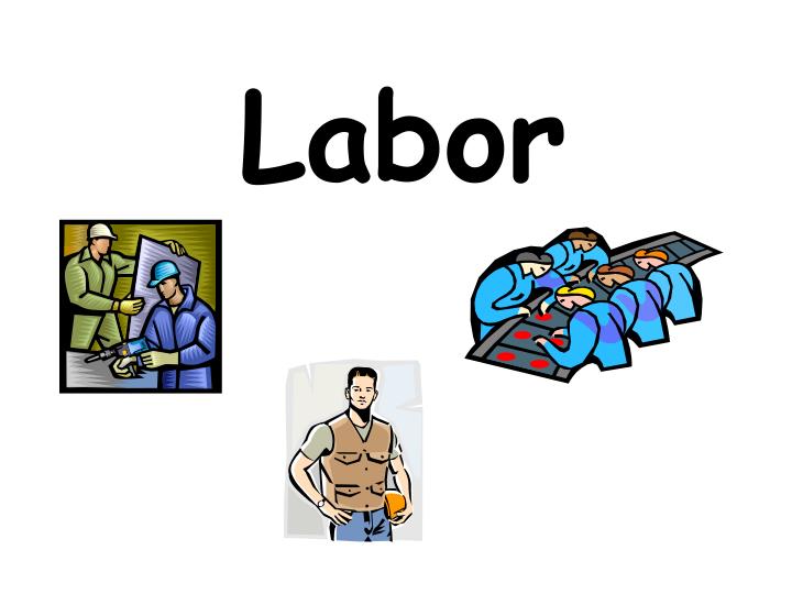 PPT - Labor PowerPoint Presentation, free download - ID:3517620