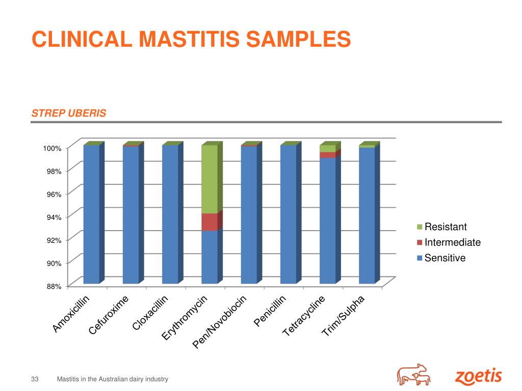 PPT - MASTITIS IN THE AUSTRALIAN DAIRY INDUSTRY PowerPoint Presentation ...