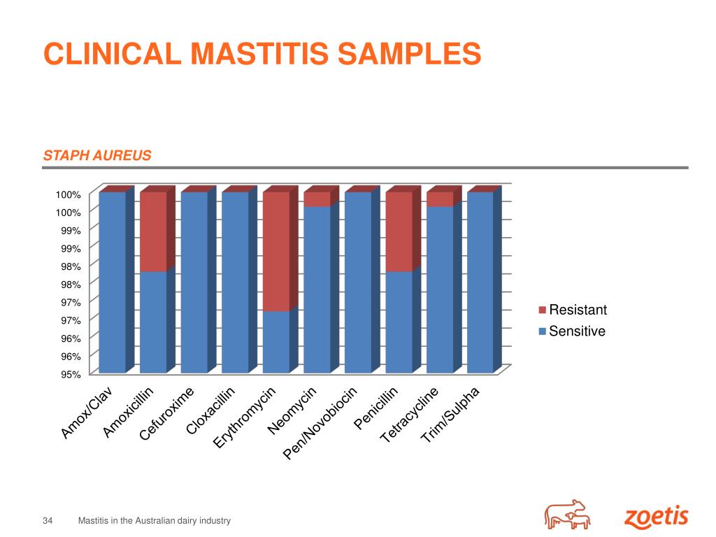 PPT - MASTITIS IN THE AUSTRALIAN DAIRY INDUSTRY PowerPoint Presentation ...