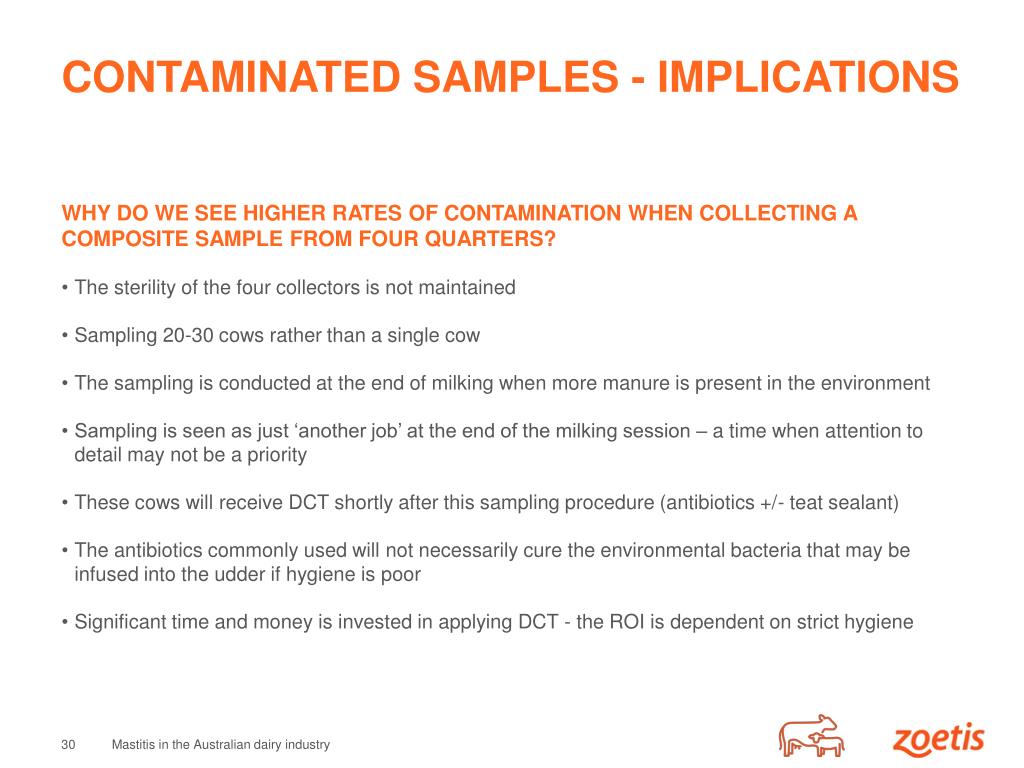PPT - MASTITIS IN THE AUSTRALIAN DAIRY INDUSTRY PowerPoint Presentation ...