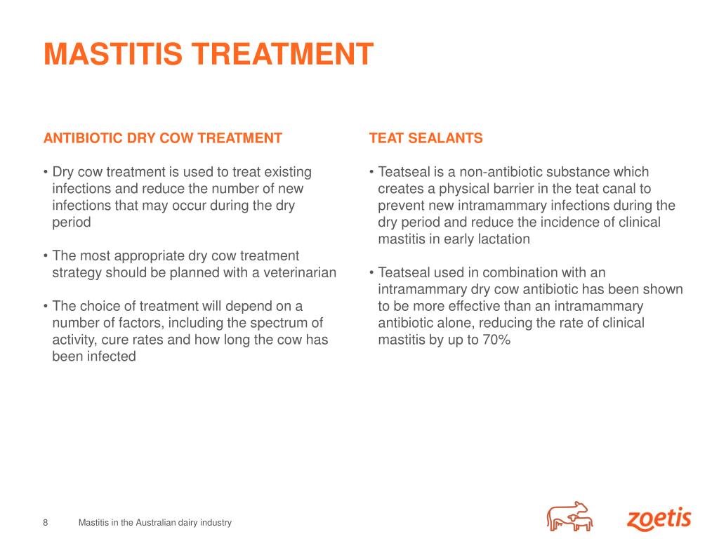 PPT - MASTITIS IN THE AUSTRALIAN DAIRY INDUSTRY PowerPoint Presentation ...