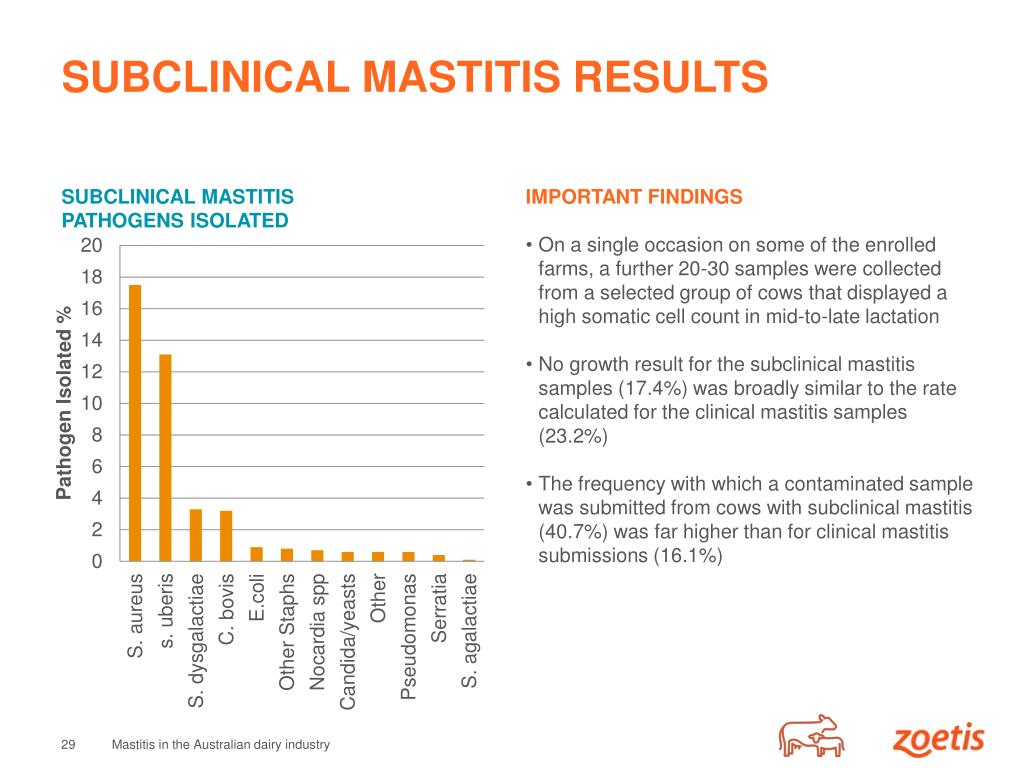 PPT - MASTITIS IN THE AUSTRALIAN DAIRY INDUSTRY PowerPoint Presentation ...
