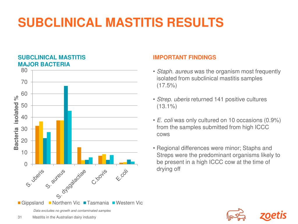 PPT - MASTITIS IN THE AUSTRALIAN DAIRY INDUSTRY PowerPoint Presentation ...
