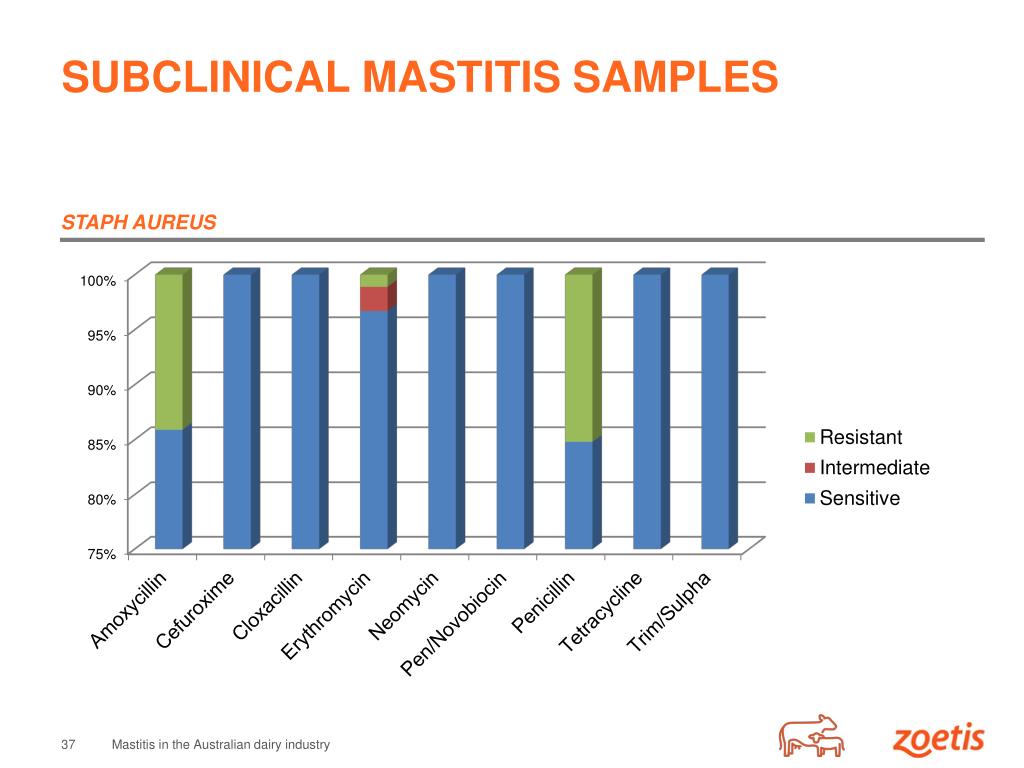 PPT - MASTITIS IN THE AUSTRALIAN DAIRY INDUSTRY PowerPoint Presentation ...