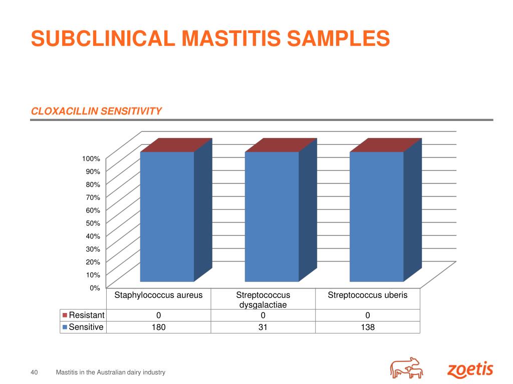 PPT - MASTITIS IN THE AUSTRALIAN DAIRY INDUSTRY PowerPoint Presentation ...
