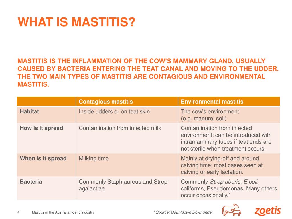 PPT - MASTITIS IN THE AUSTRALIAN DAIRY INDUSTRY PowerPoint Presentation ...