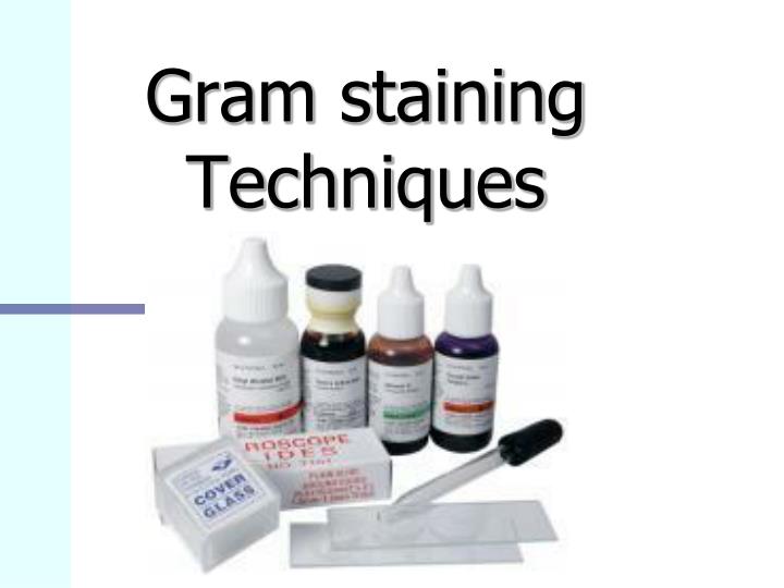 PPT - Gram staining Techniques PowerPoint Presentation, free download ...