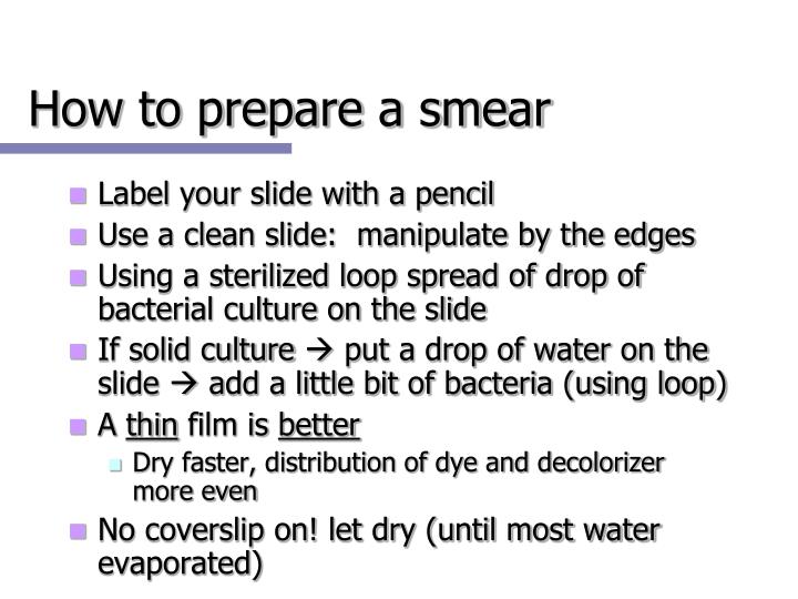 PPT - Gram staining Techniques PowerPoint Presentation - ID:3518507