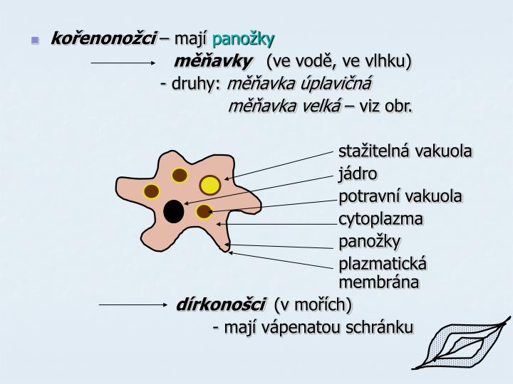 PPT - PRVOCI PowerPoint Presentation - ID:3518608