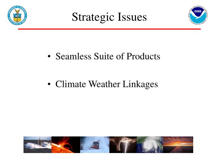 PPT - Strategic Issues PowerPoint Presentation, free download - ID:3518678