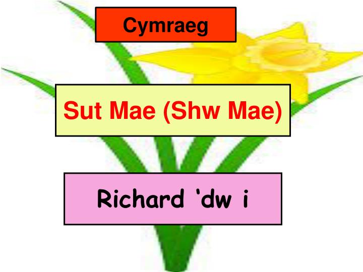 PPT - Cymraeg PowerPoint Presentation, free download - ID:3518683