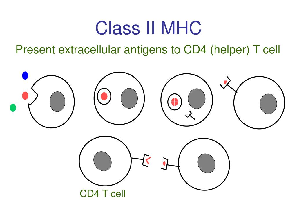 PPT - The biology of HIV PowerPoint Presentation, free download - ID ...