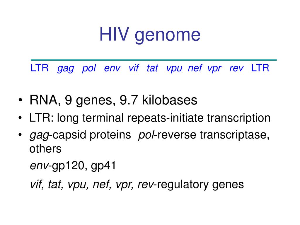 PPT - The biology of HIV PowerPoint Presentation, free download - ID ...