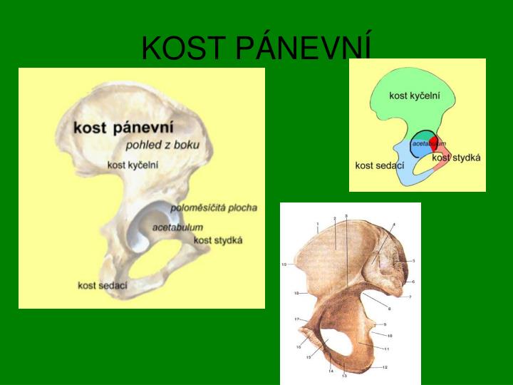 PPT - POZNÁVAČKA PowerPoint Presentation - ID:3518853