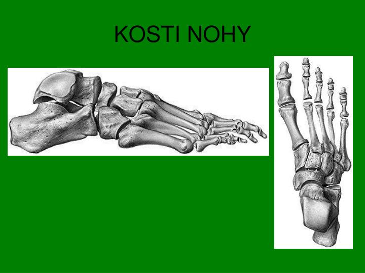 PPT - POZNÁVAČKA PowerPoint Presentation - ID:3518853