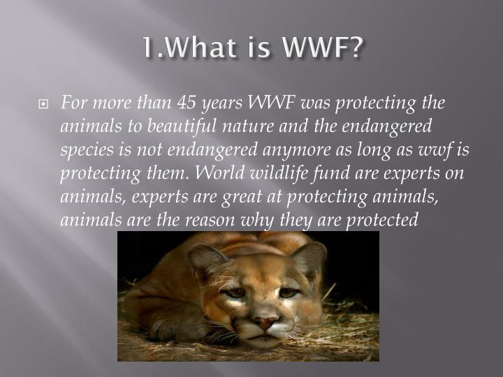 PPT - WWF PowerPoint Presentation - ID:3519853