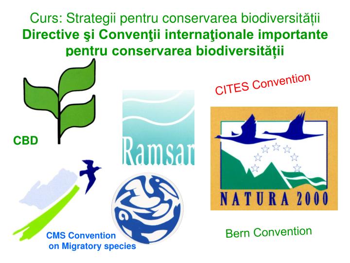 Ppt Cites Convention Powerpoint Presentation Free Download Id 3520029