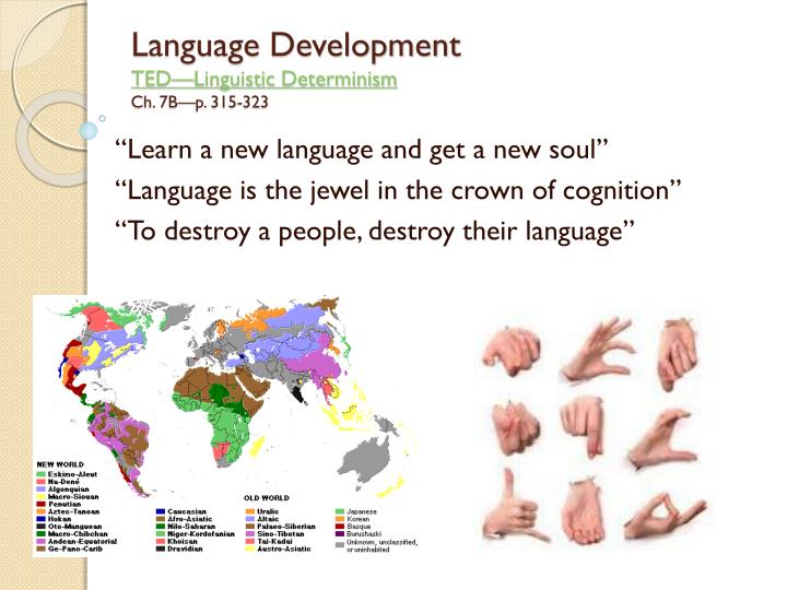 PPT - Language Development TED—Linguistic Determinism Ch. 7B—p. 315-323 ...