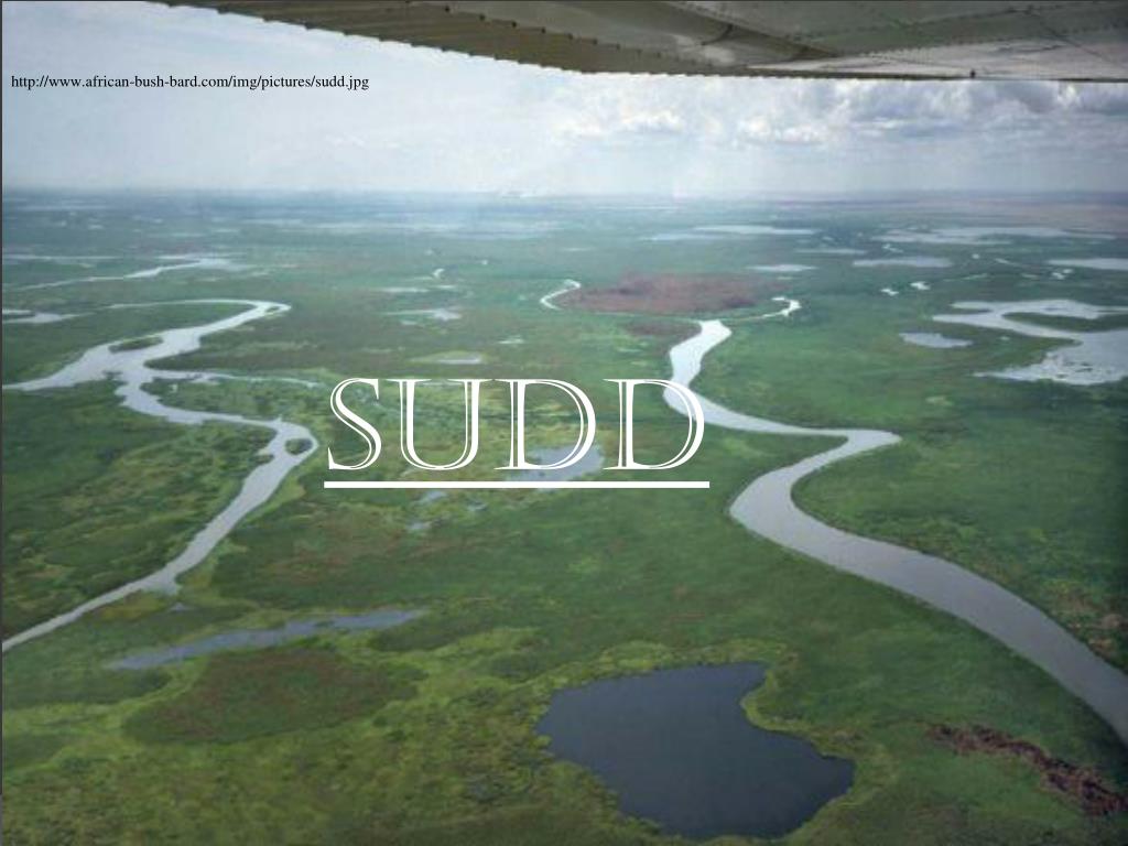 PPT - african-bush-bard/img/pictures/sudd.jpg PowerPoint Presentation ...