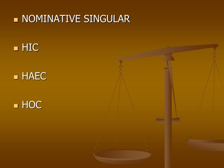 PPT - NOMINATIVE SINGULAR HIC HAEC HOC PowerPoint Presentation, free ...