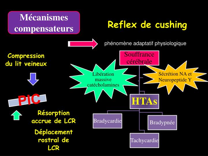 PPT - PHYSIOPATHOLOGIE DE L’HYPERTENSION INTRA-CRANIENNE (HTIC ...