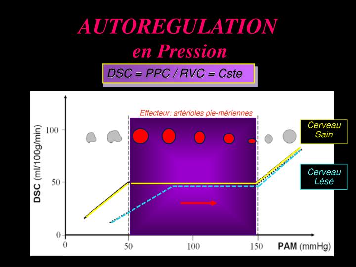 PPT - PHYSIOPATHOLOGIE DE L’HYPERTENSION INTRA-CRANIENNE (HTIC ...