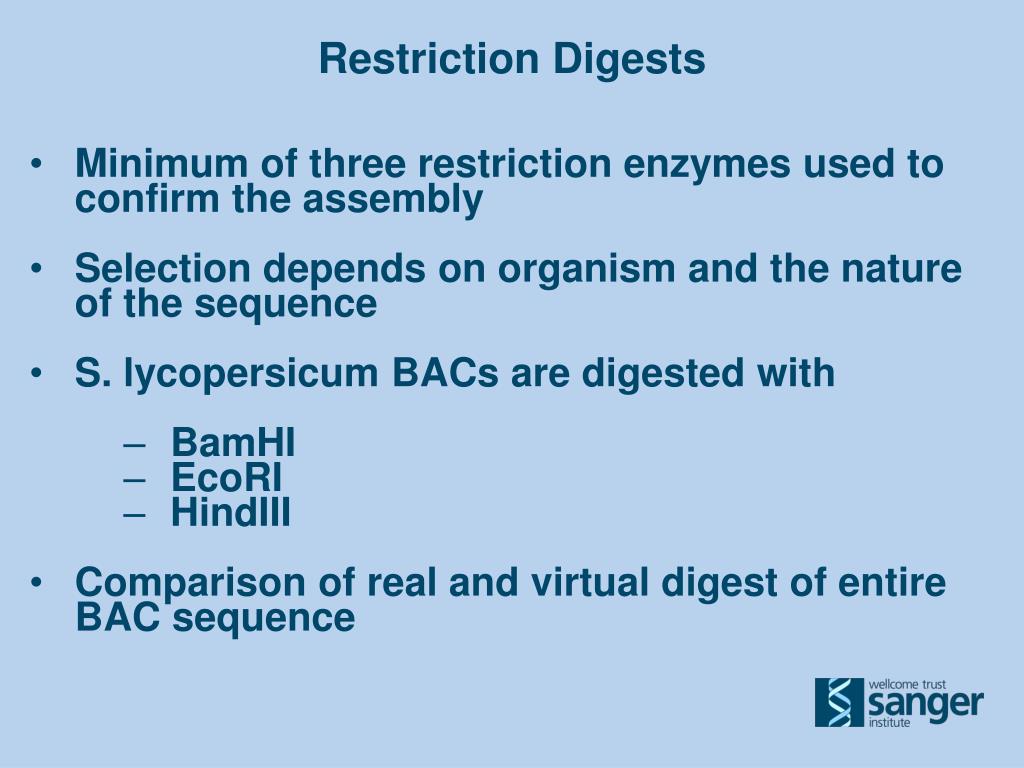 PPT - Second Tomato Finishing Workshop Chromosome 4 PowerPoint ...