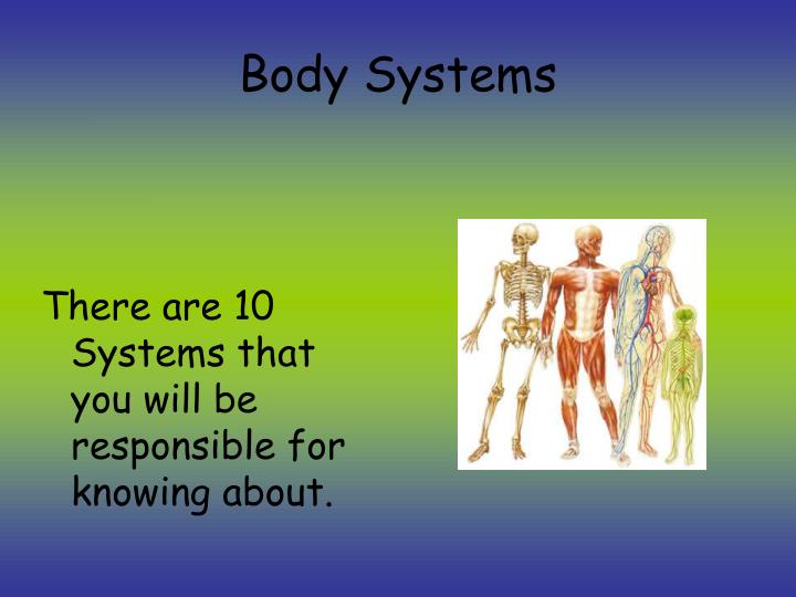 PPT - Body Systems PowerPoint Presentation, free download - ID:3524981